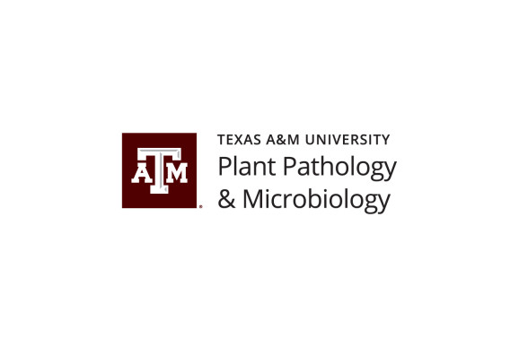 Texas A&M University Careers and Employment | APS Job Board