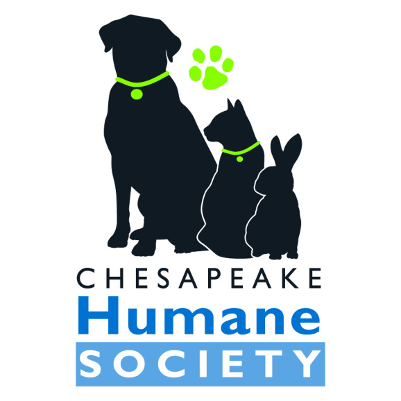 Home | Association of Shelter Veterinarians, Inc (ASV)