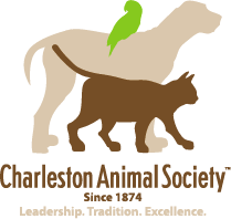 Charleston Animal Society Careers and Employment | Association of ...