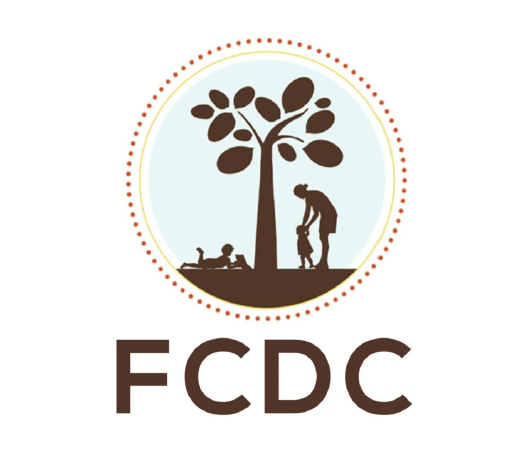 The Children's Workforce Development Council