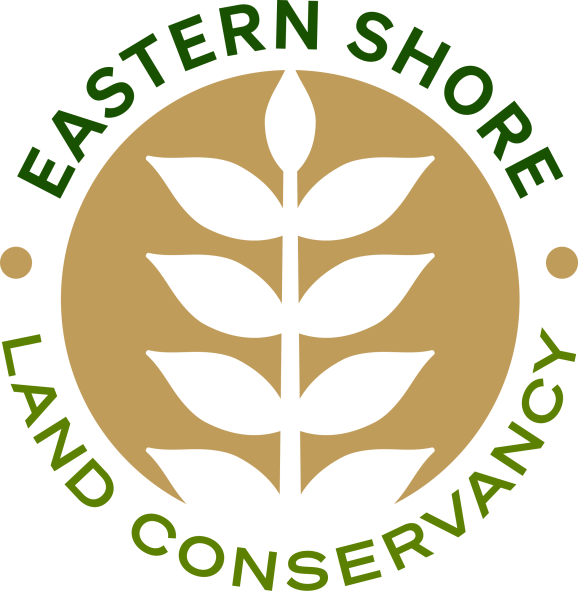 Eastern Shore Land Conservancy Careers and Employment | Maryland ...