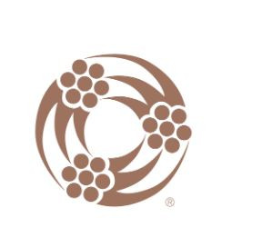 Southwire Company Careers and Employment | National Black MBA ...