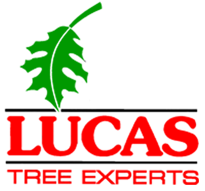 Lucas Tree Expert Co Inc Careers and Employment | TCIA Career Center